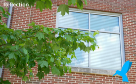 Bird Strike Window Film - Stop birds from colliding into glass