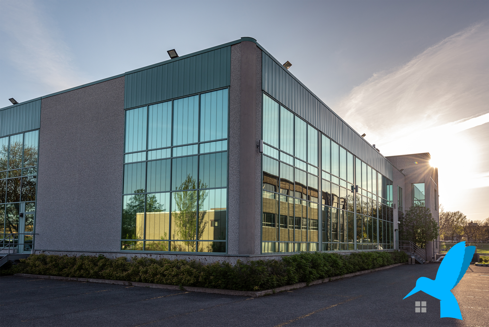 Bird Strike Window Film - Stop birds from colliding into glass