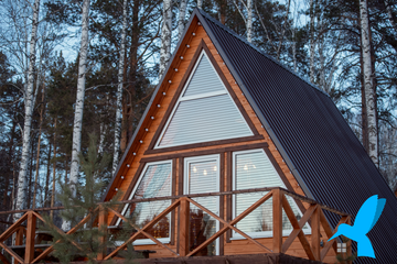 Bird Strike Window Film - Stop birds from colliding into glass