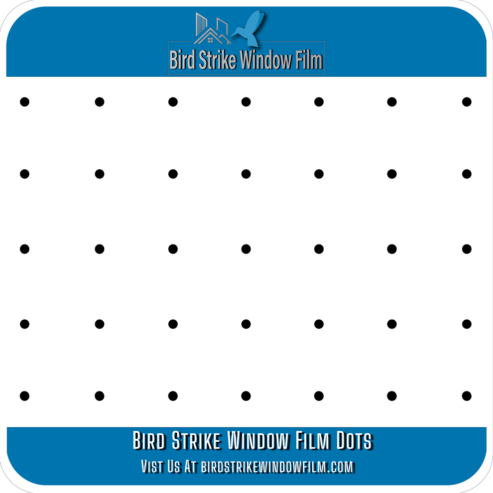 Bird Strike Window Film Dots