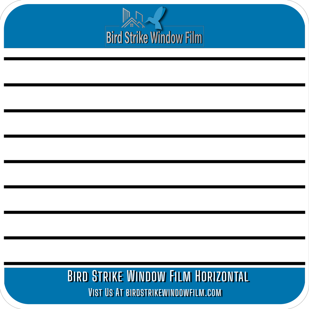 Bird Strike Window Film - Stop birds from colliding into glass