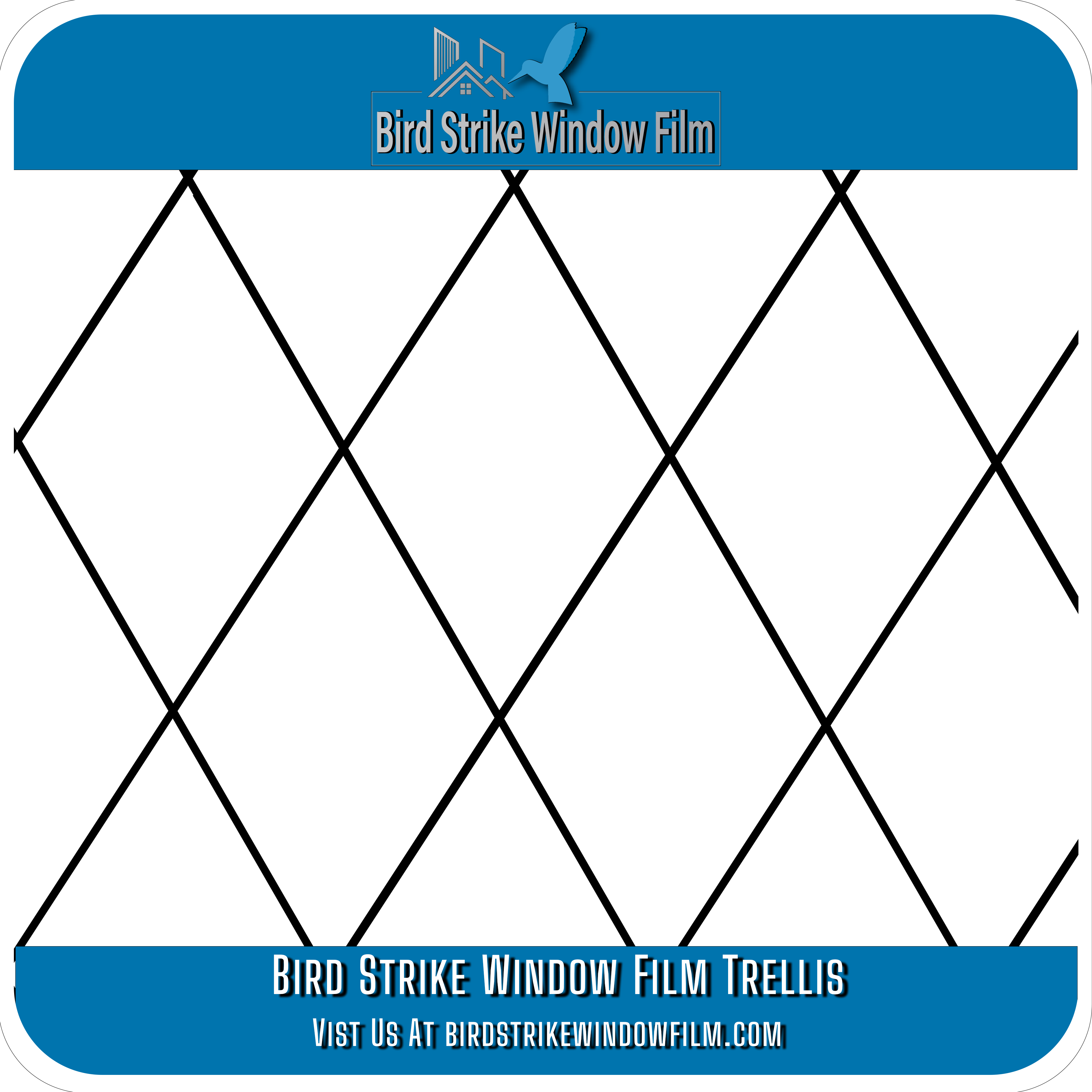 Bird Strike Window Film - Stop birds from colliding into glass